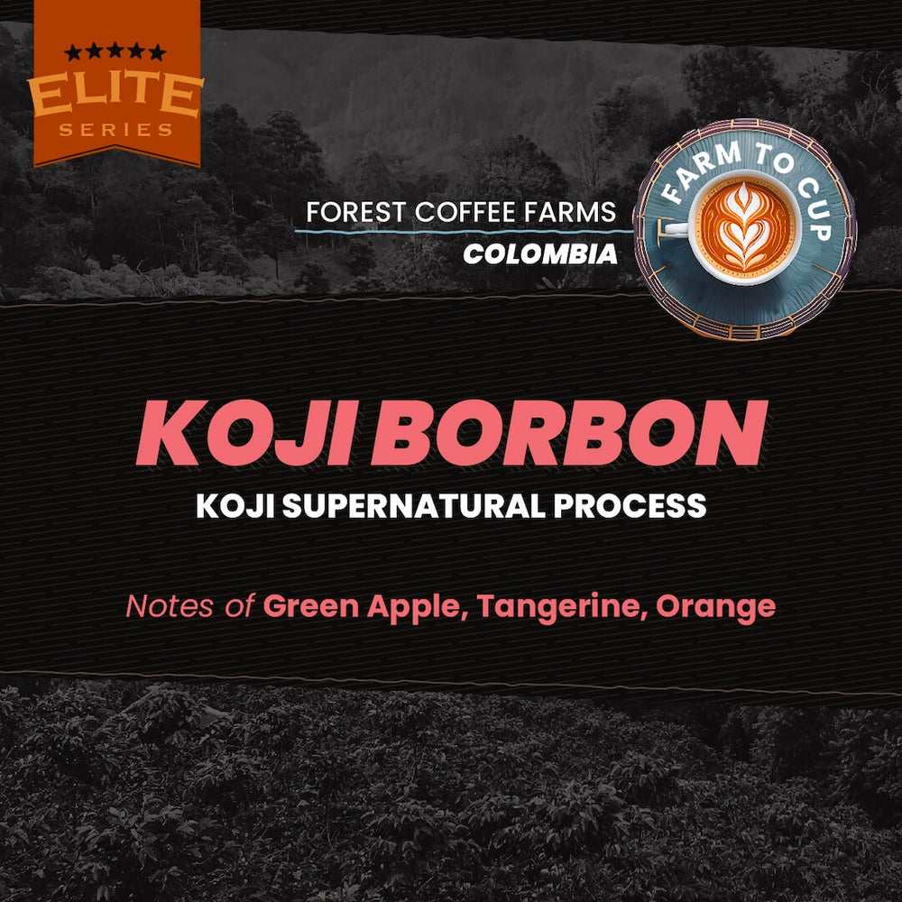 Brewtus Roasting Small Batch Specialty Coffee Roaster